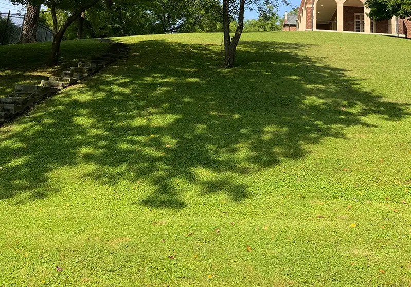 Awesome Sloped Backyard Design: Conquering the Hill in 2024